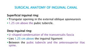 Inguinal hernia | PPT
