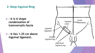 Inguinal hernia | PPTX
