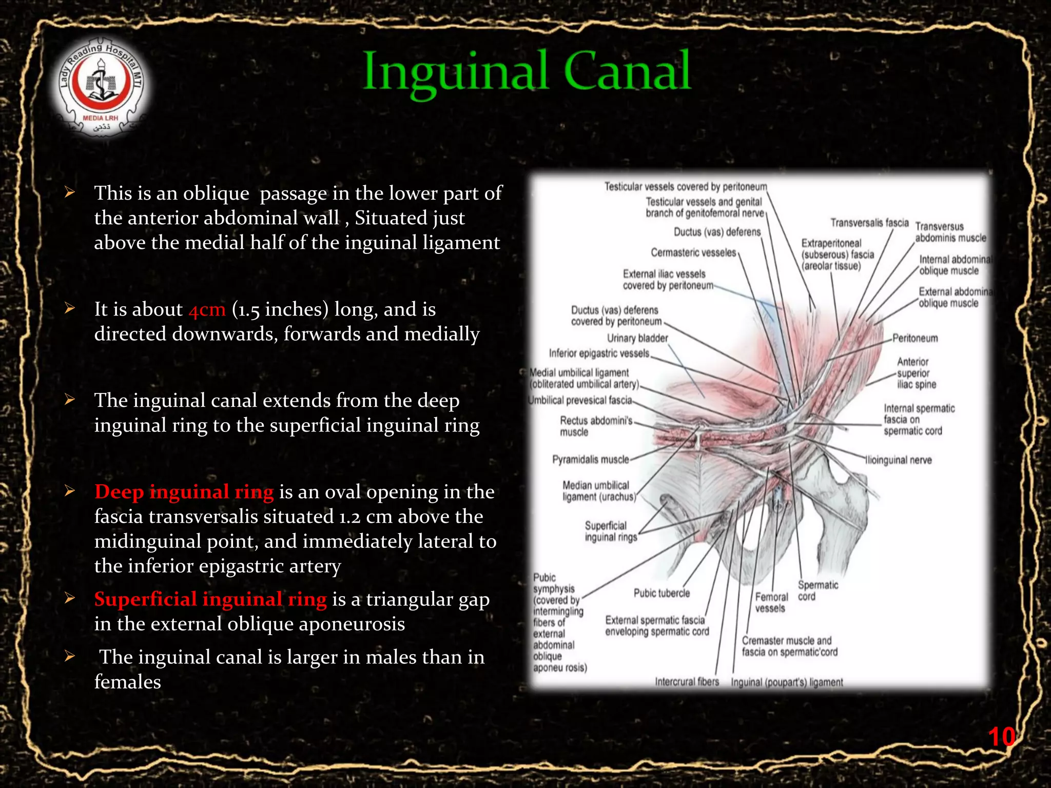 Inguinal Hernia Management, Presentation, by Dr. Shabir Ahmad | PPT