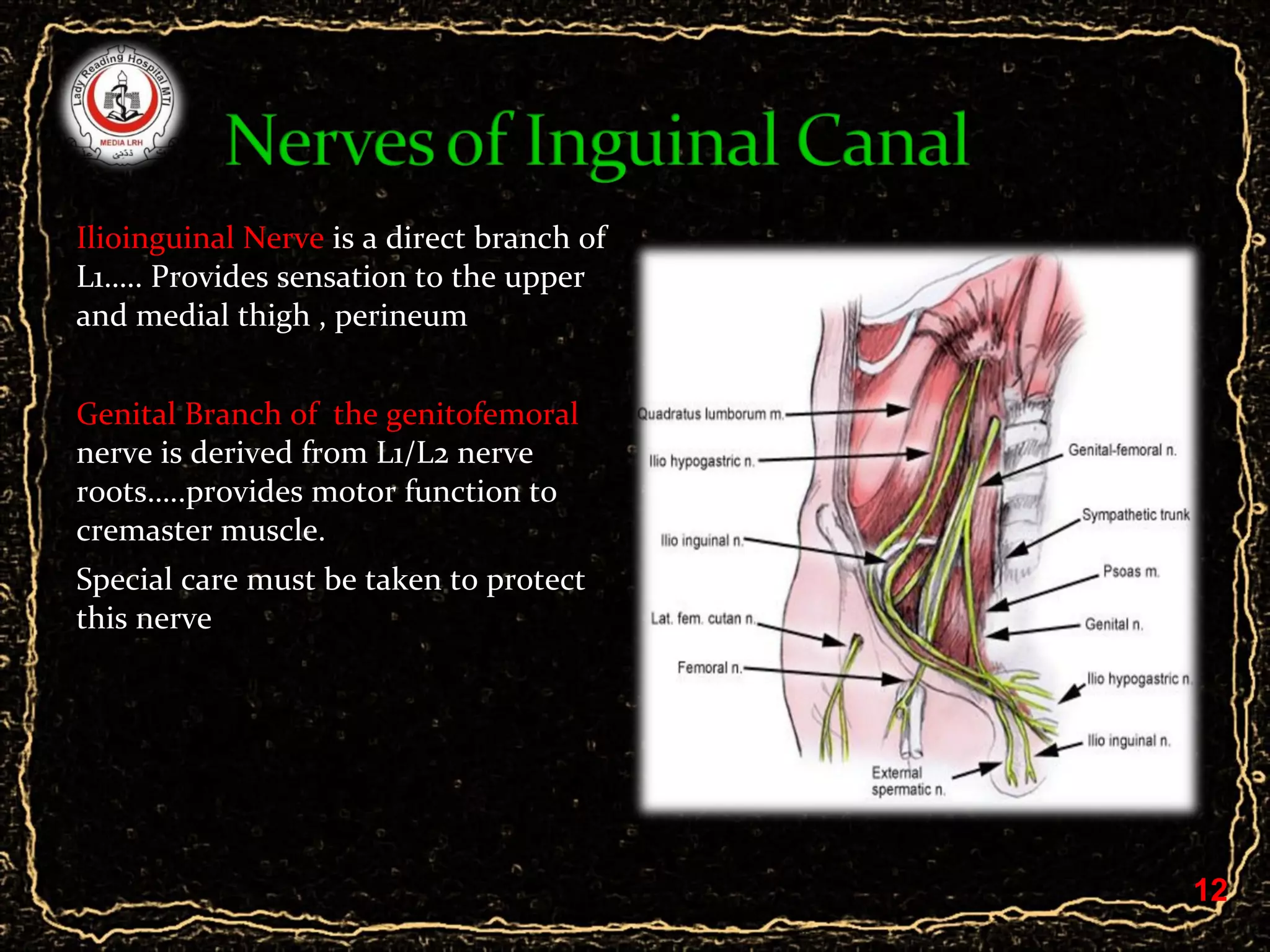 Inguinal Hernia Management, Presentation, by Dr. Shabir Ahmad | PPT