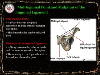 The Inguinal Canal Boundaries Contents TeachMeAnatomy | atelier-yuwa ...