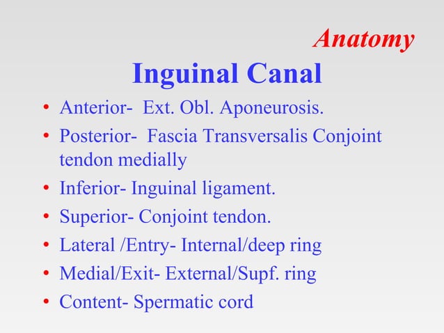 Inguinal Hernia.pptx | Educational Assessment | Education