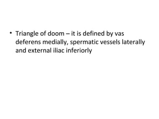 Hernia | PPT