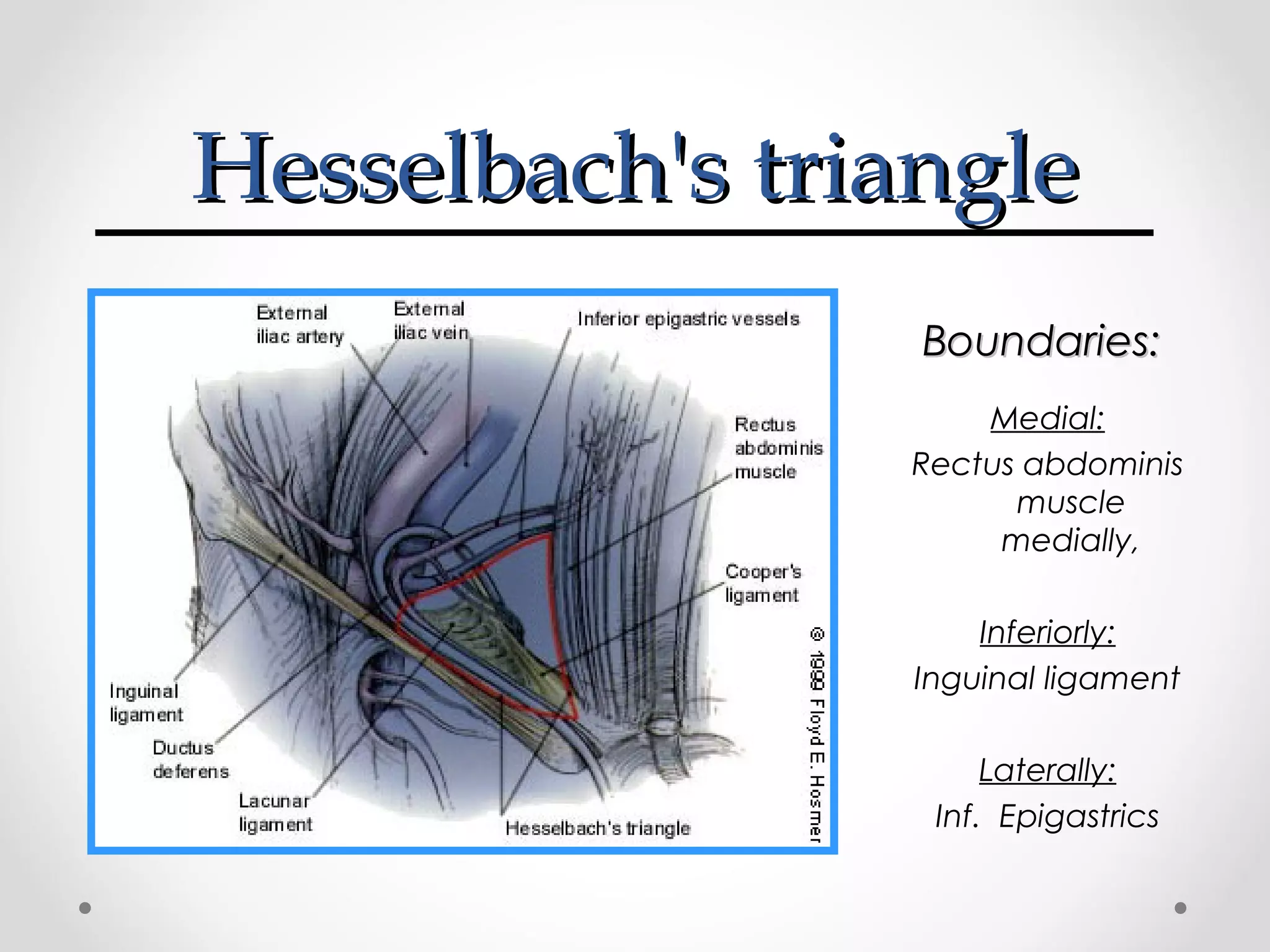 Inguinal hernia | PPT