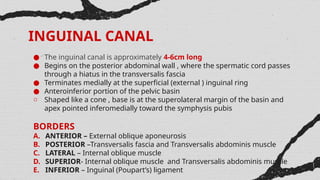 Inguinal Hernia powerpoint - surgery review | PPTX