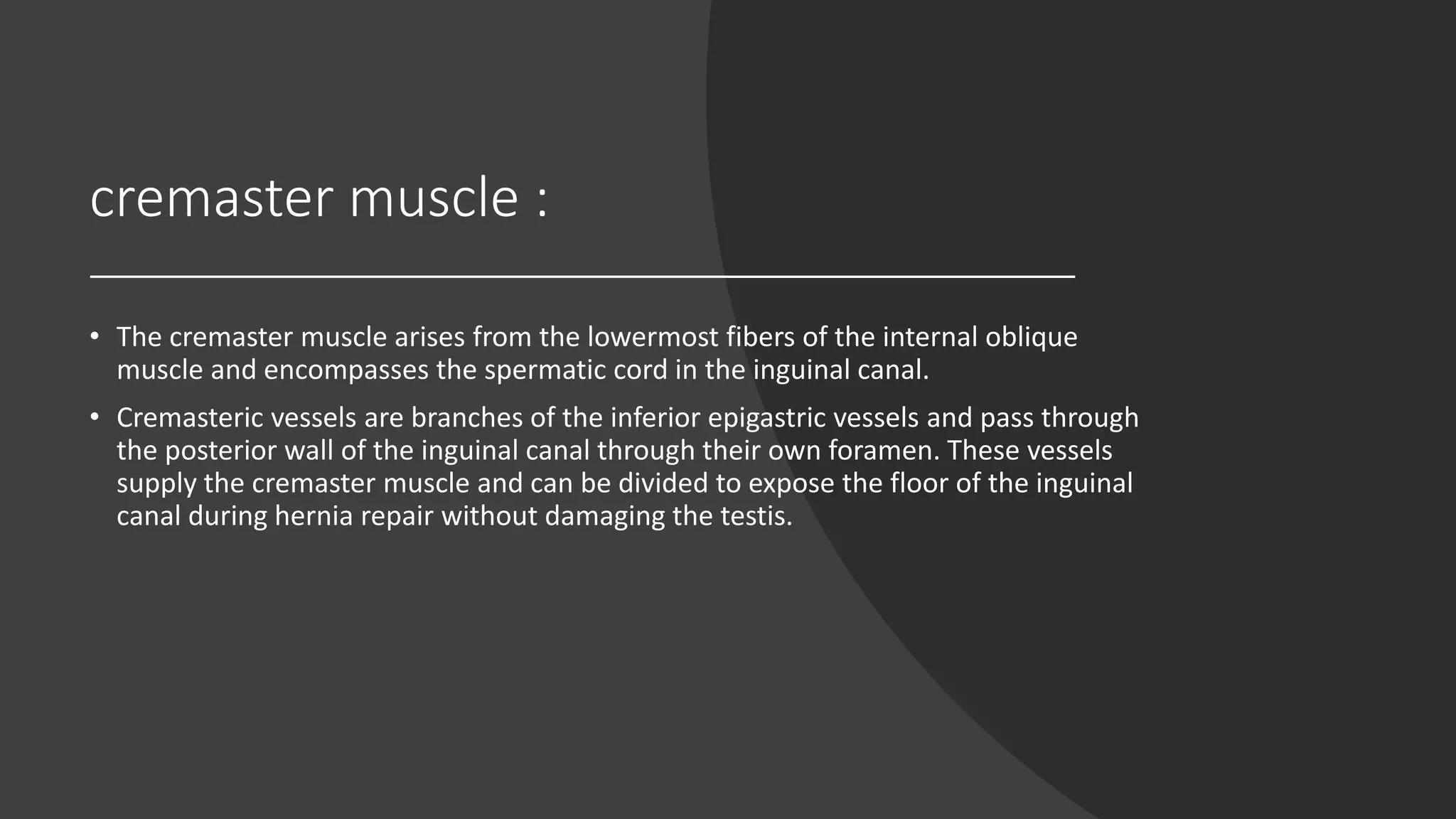 Inguinal Hernia | PPTX