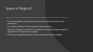 Inguinal Hernia | PPTX