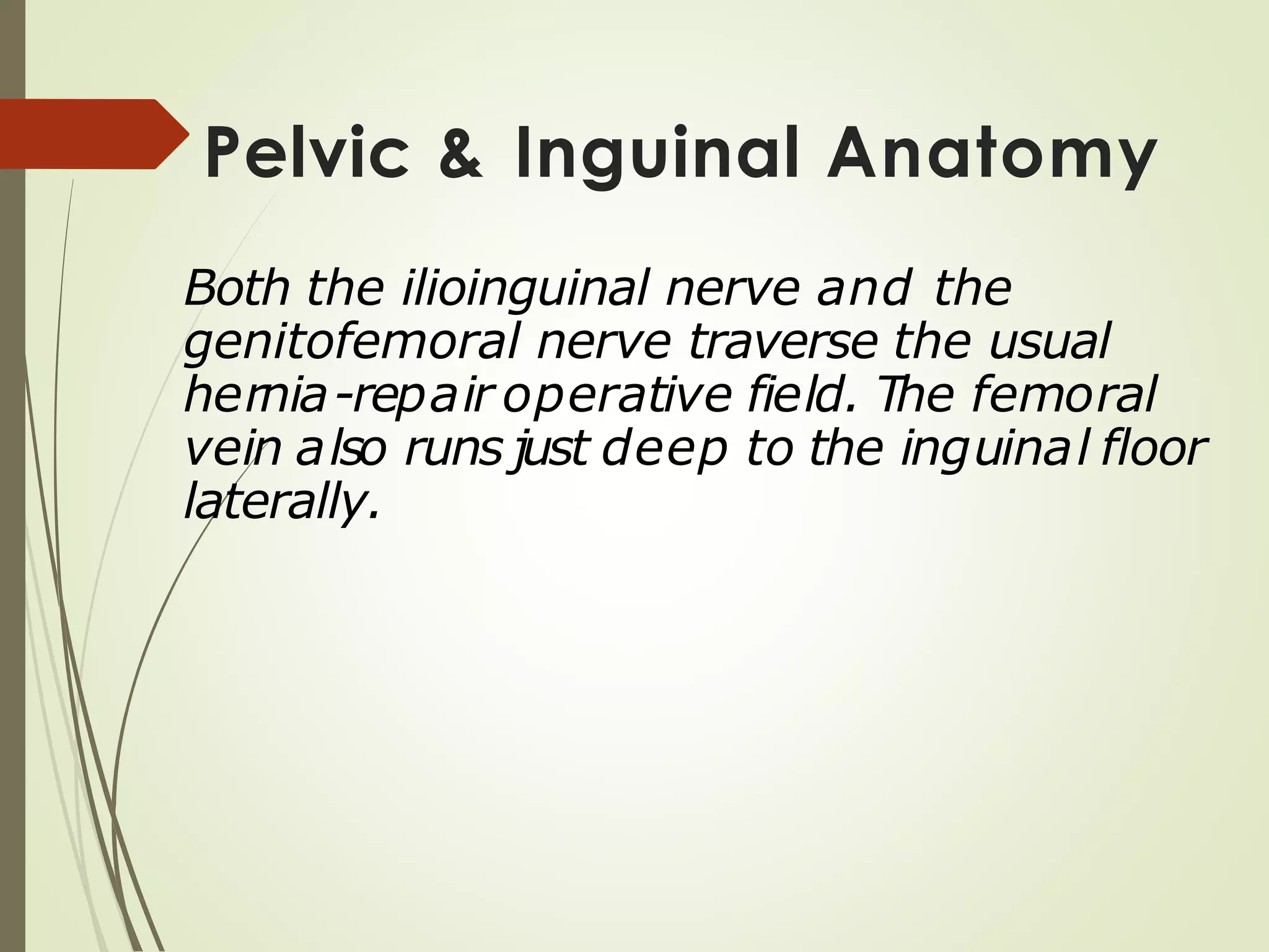 Inguinal hernia repair surgery dr valeria simone southlake general ...