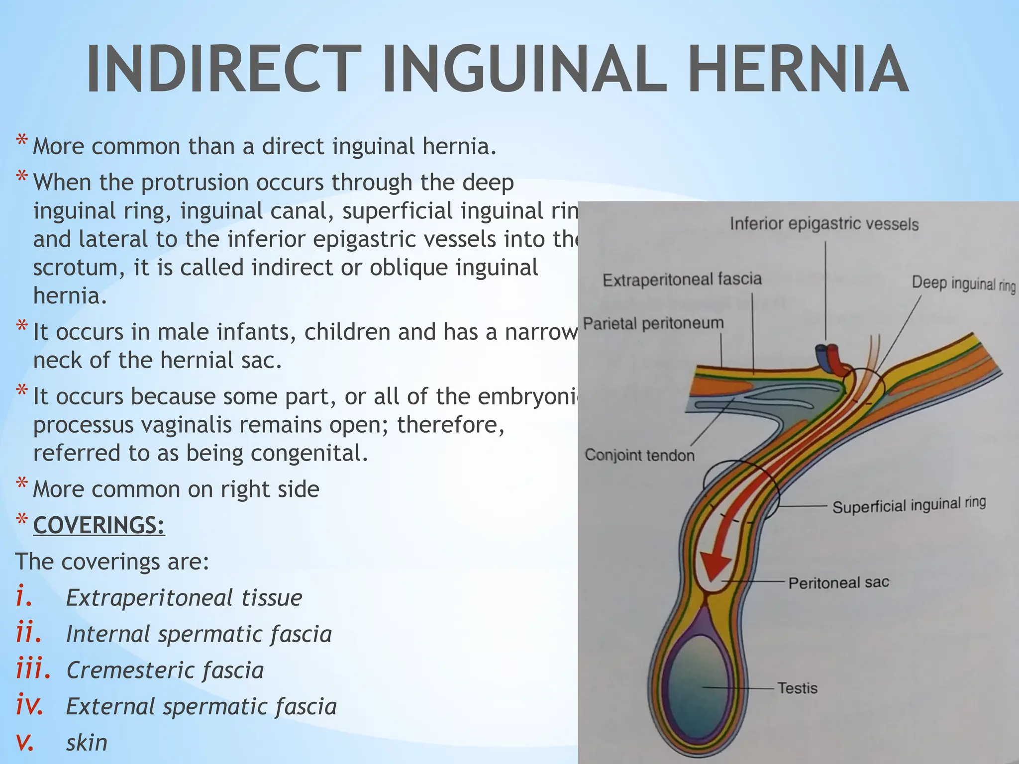 INGUINAL HERNIAS.pptx// ABDOMEN AND PELVIS// HUMAN ANATOMY | PPTX