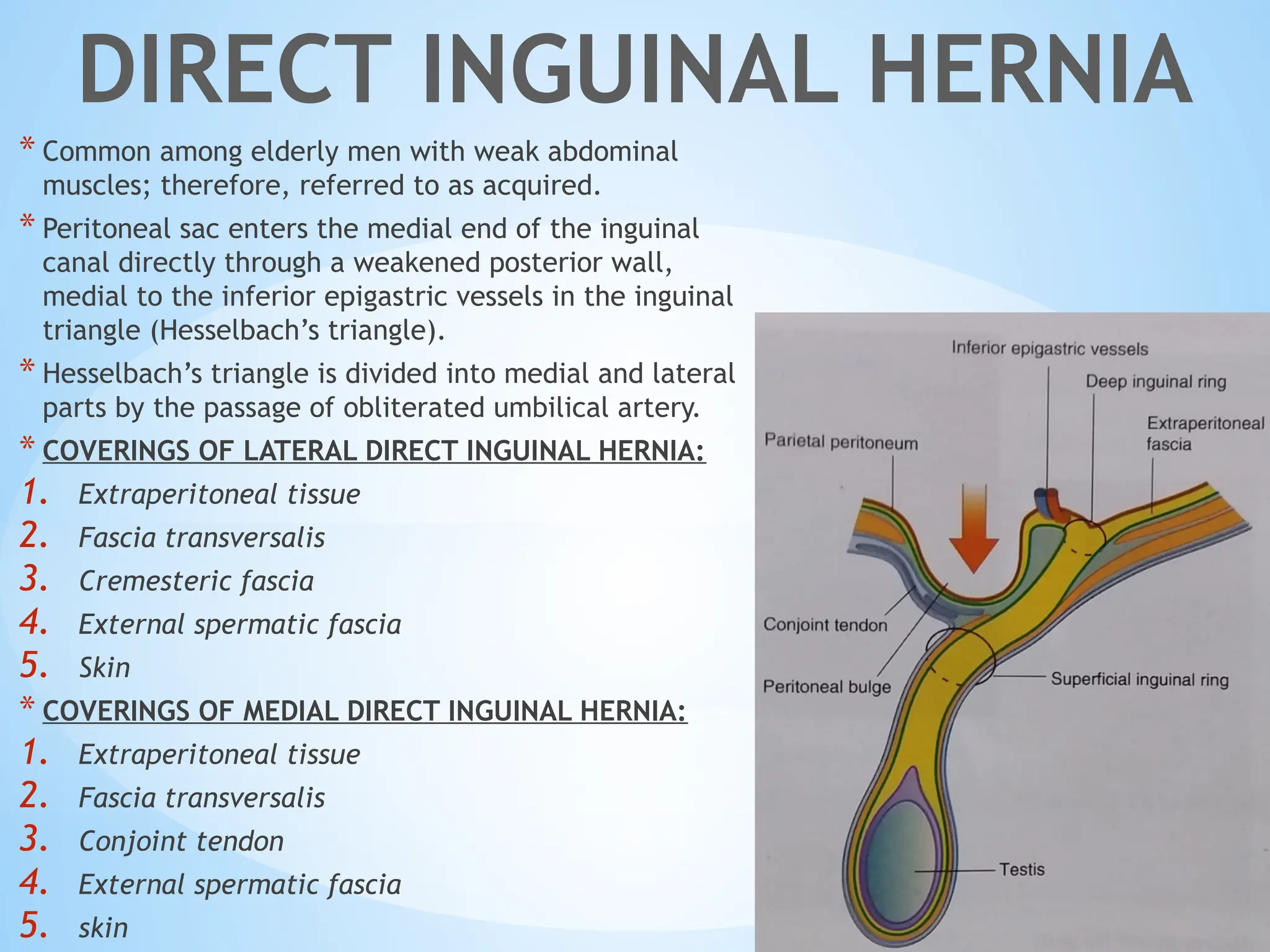 INGUINAL HERNIAS.pptx// ABDOMEN AND PELVIS// HUMAN ANATOMY | PPTX