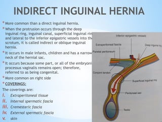 INGUINAL HERNIAS.pptx// ABDOMEN AND PELVIS// HUMAN ANATOMY | PPT