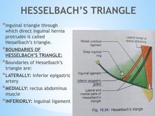 INGUINAL HERNIAS.pptx// ABDOMEN AND PELVIS// HUMAN ANATOMY | PPT
