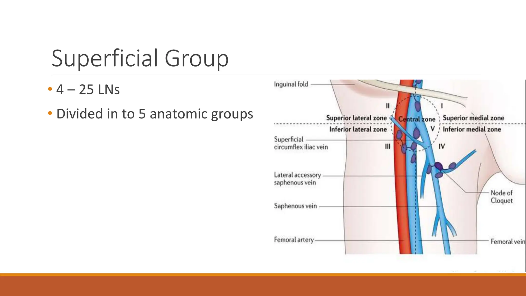 Inguinal LND.pptx