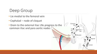 Inguinal LND.pptx