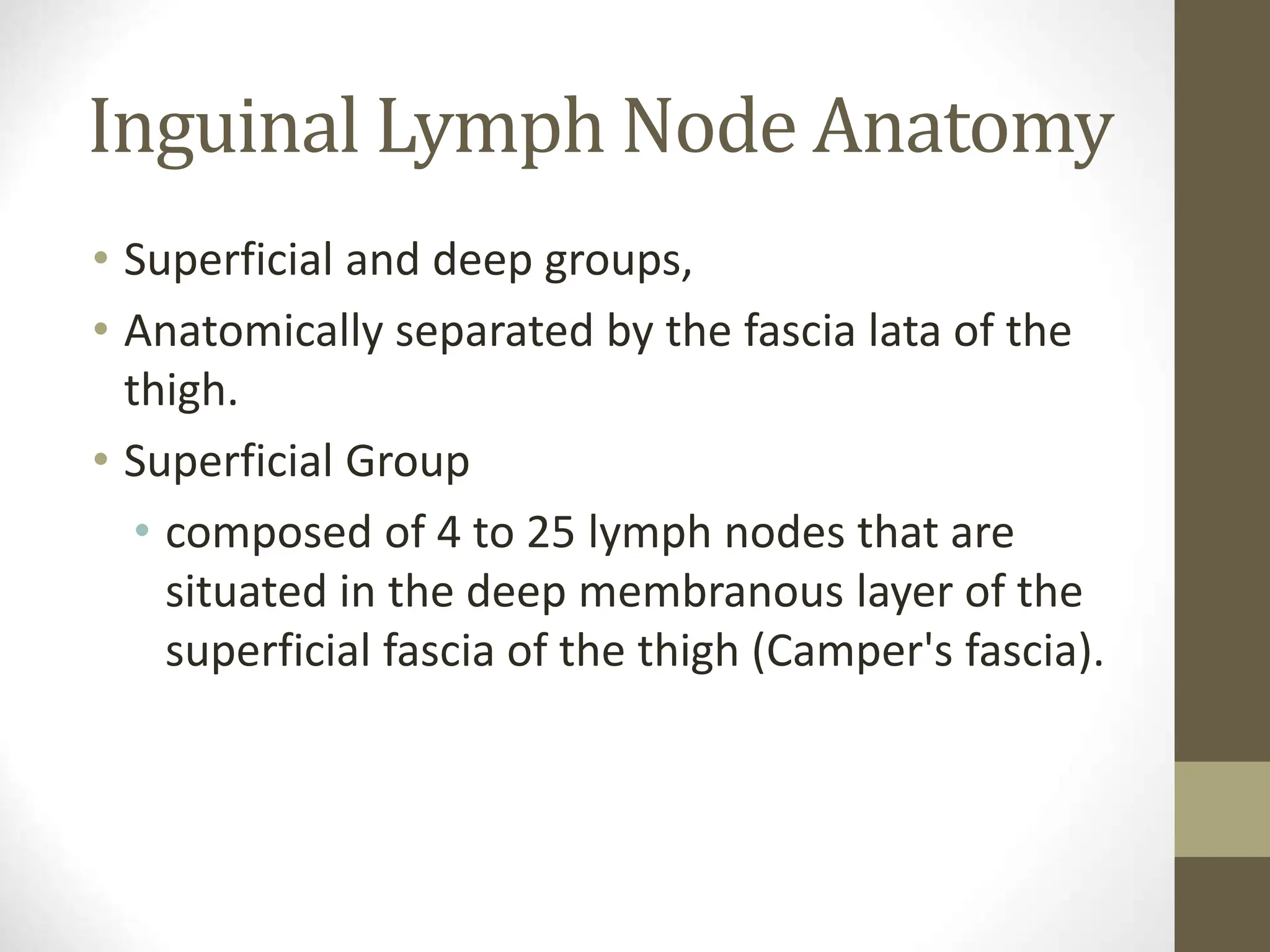 Inguinal Lymph Nodesppt