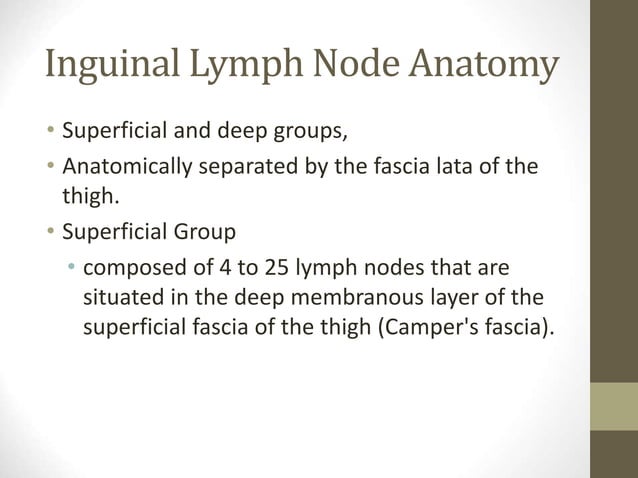 inguinal lymph nodes.ppt | Sexual Conditions | Sexual Health