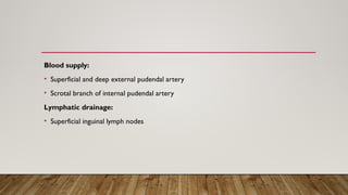 Anatomy of the Inguinoscrotal Region brief about direct and indirect ...