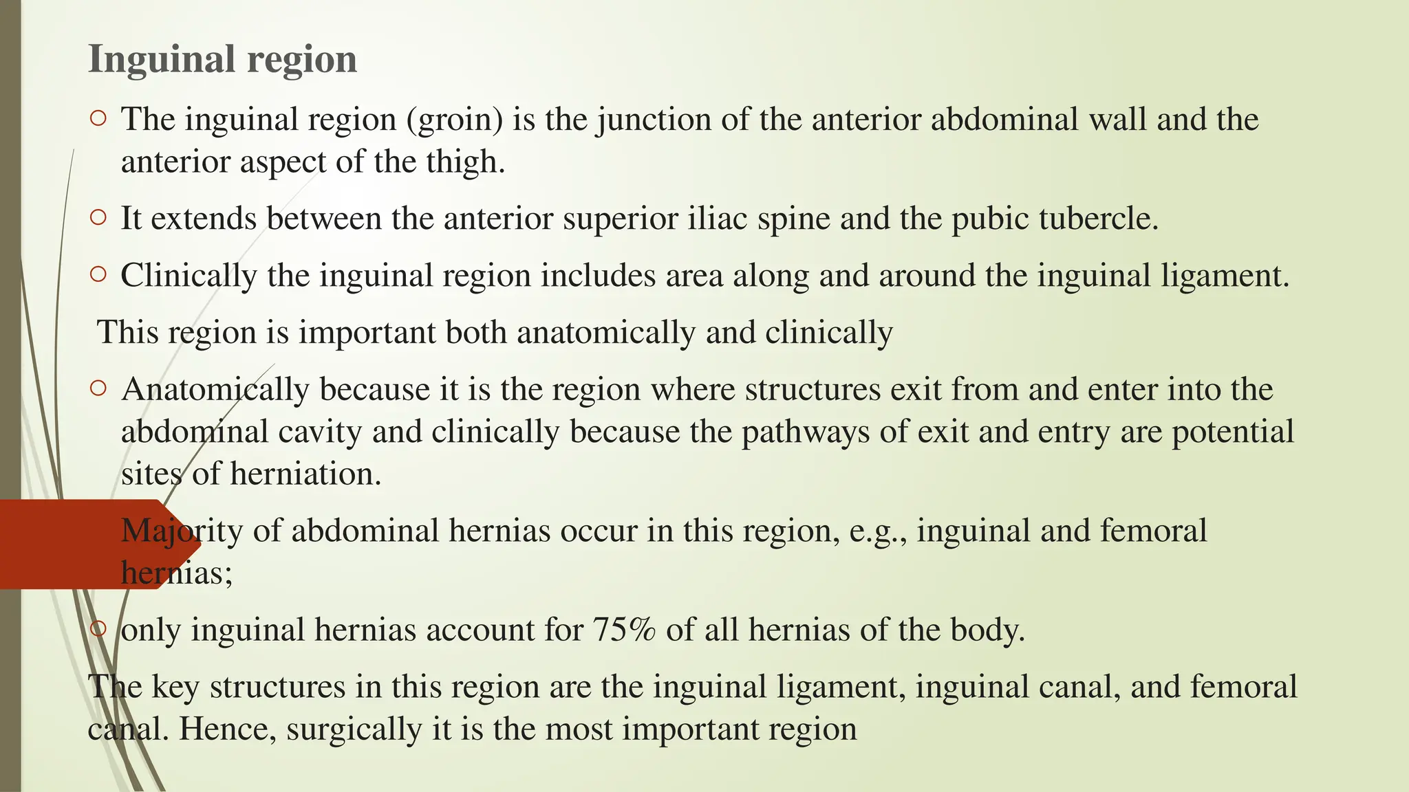 Inguinal Region,Hernia And Scrotum 2024.pptyyyyyyyyyyx | PPTX