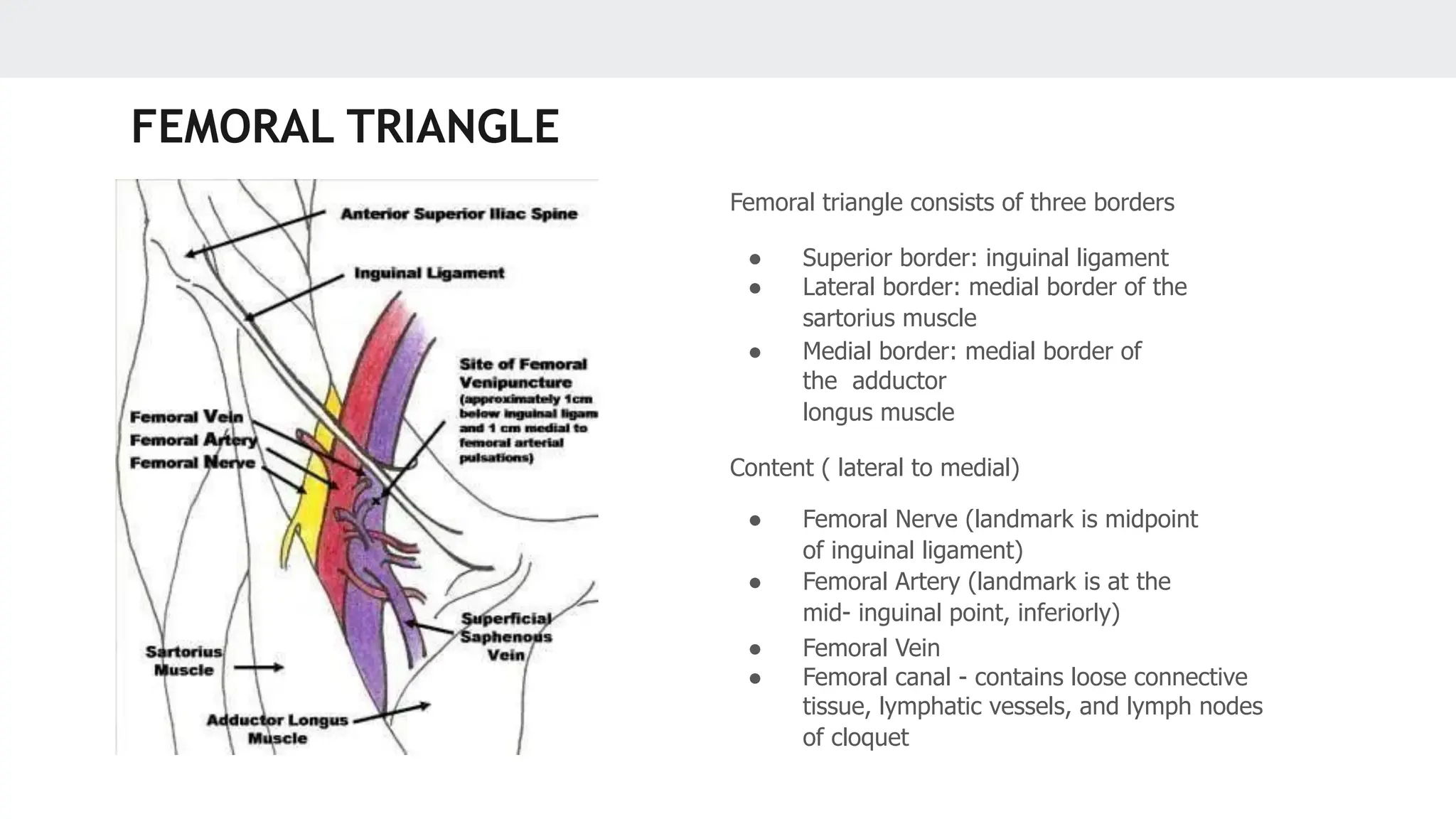 Inguinal Swelling and Undescended Testis (1).pdf