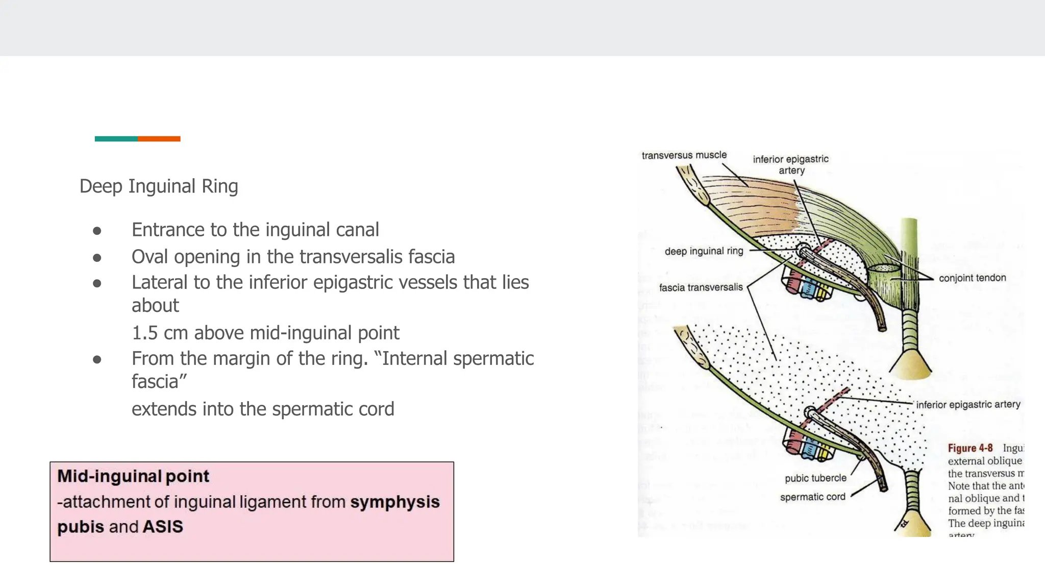 Inguinal Swelling and Undescended Testis (1).pdf