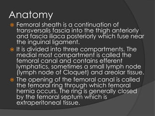 Hernia | PPTX | Death, Injury, or Military Conflict | Sensitive Topics