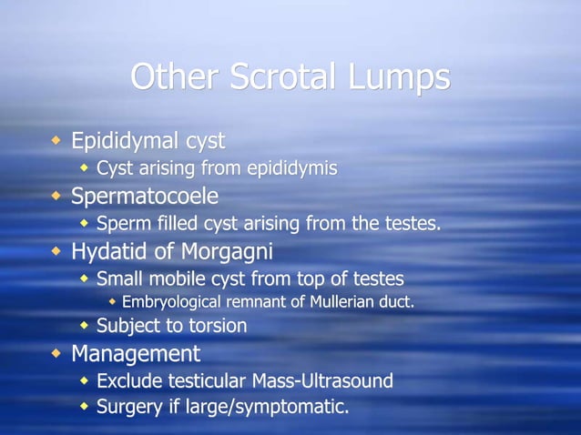 Inguino Scrotal Lumps Ppt
