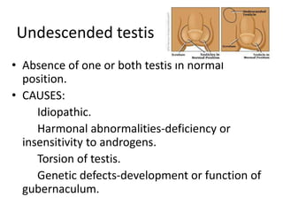 INGUINO-SCROTAL SWELLINGS.pptx