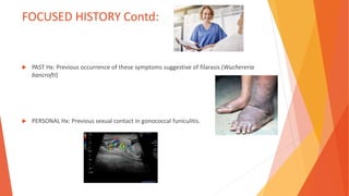 INGUINOSCROTAL SWELLING | PPT