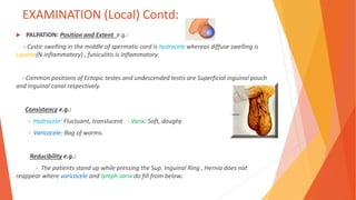 INGUINOSCROTAL SWELLING | PPT