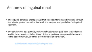 inguinoscrotal swellings ( Inguinal Hernia , Hydrocele ) | PPTX