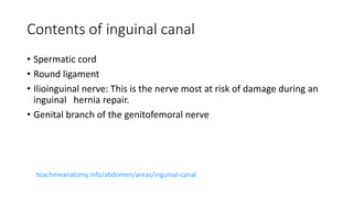 inguinoscrotal swellings ( Inguinal Hernia , Hydrocele ) | PPTX