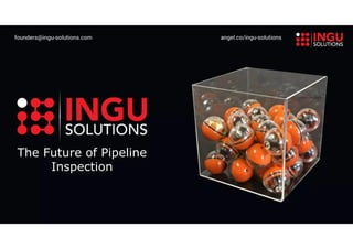 Ingu Solutions | PDF
