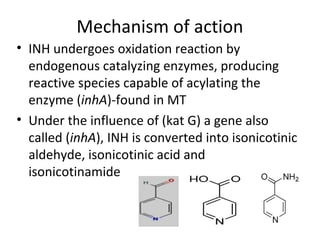 TB, historical perspective of anti TB drugs and medicinal chemistry of ...