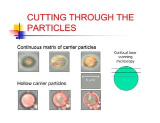 Inhalable Nanoparticles | PDF