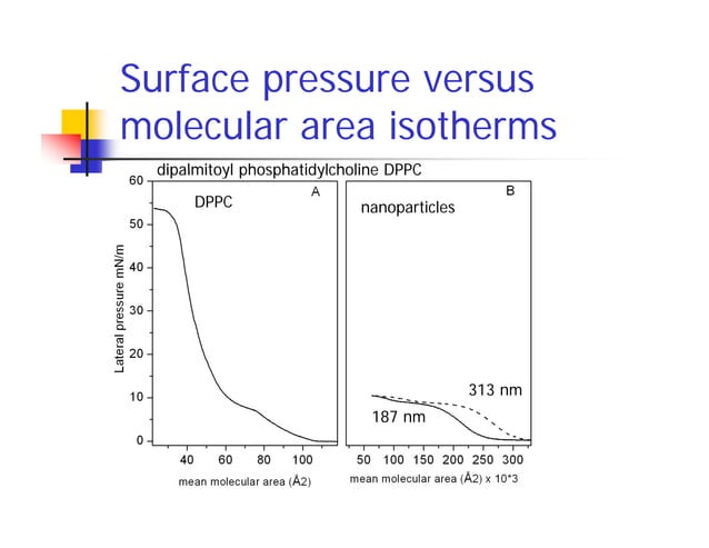 Inhalable Nanoparticles | PPT