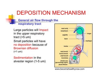 Inhalable Nanoparticles | PPT