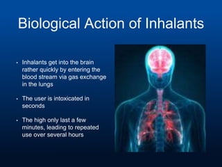 Inhalants (power point) | PPTX