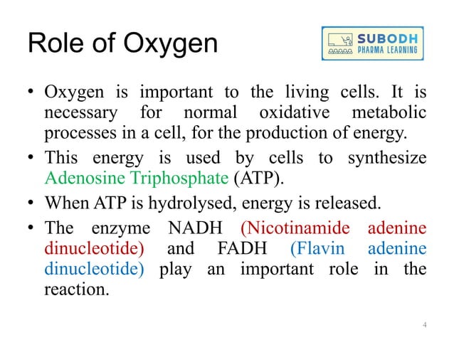 Inhalants | PPTX | Lung and Respiratory Health | Diseases and Conditions