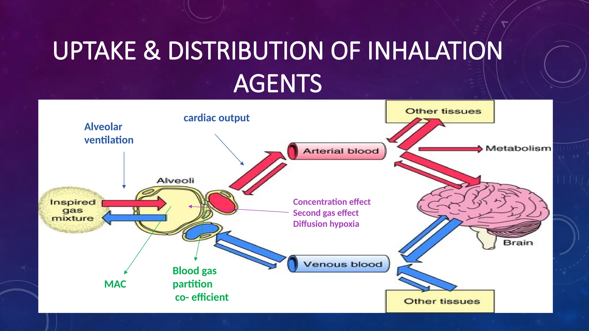 All about Inhalation agent part FULL.pptx