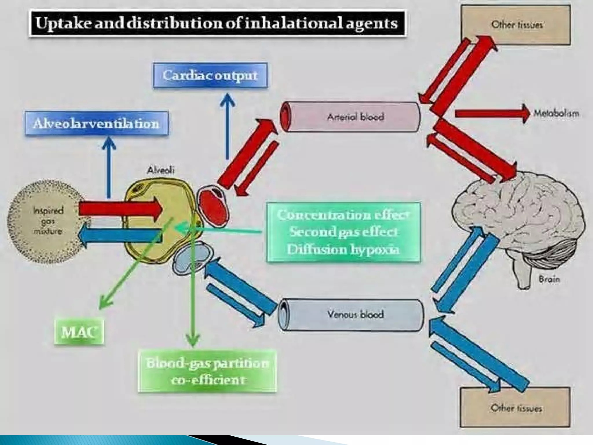Inhalational Anesthetic Agents | PPT