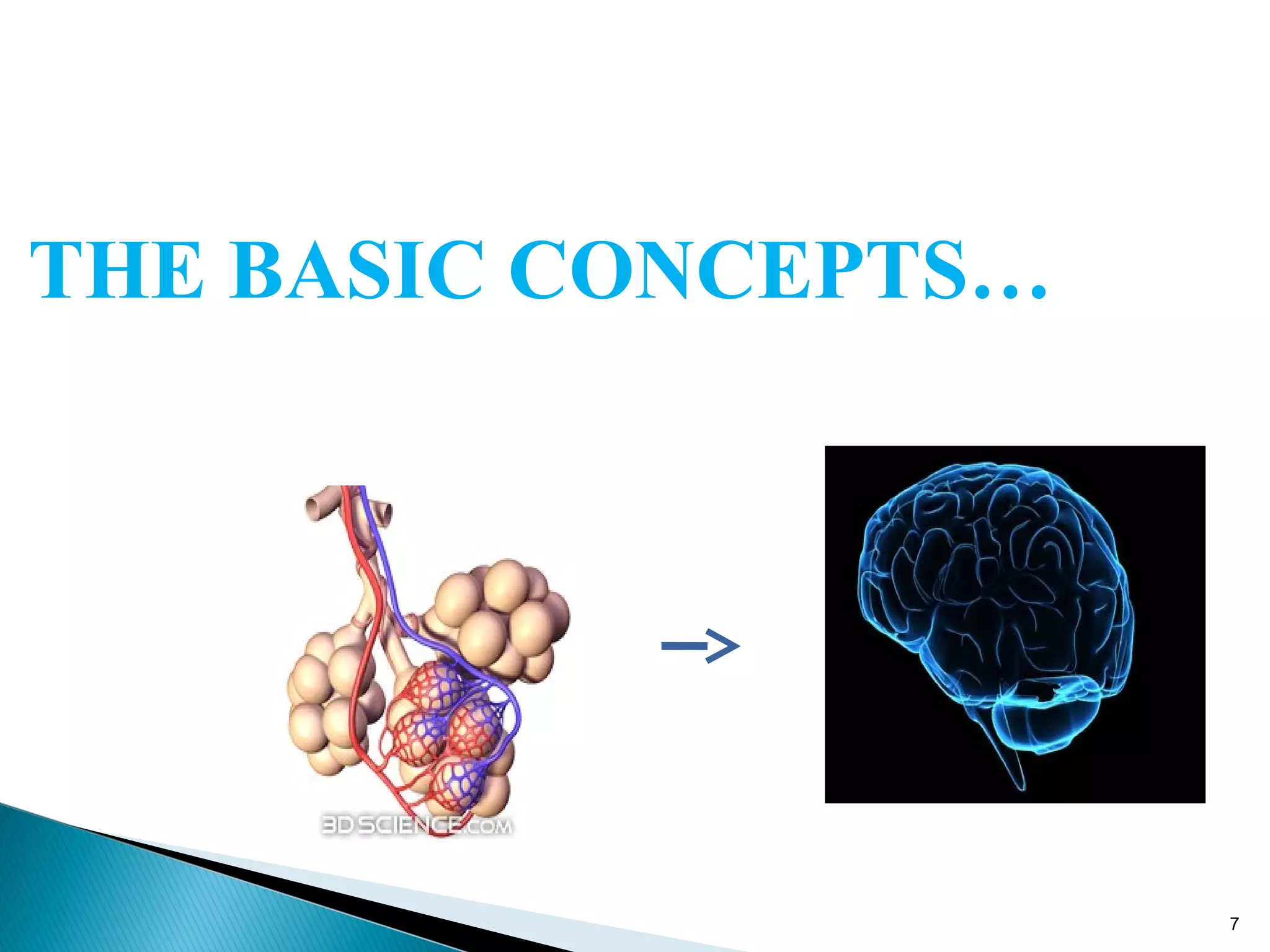 Inhalational Anesthetic Agents | PPT