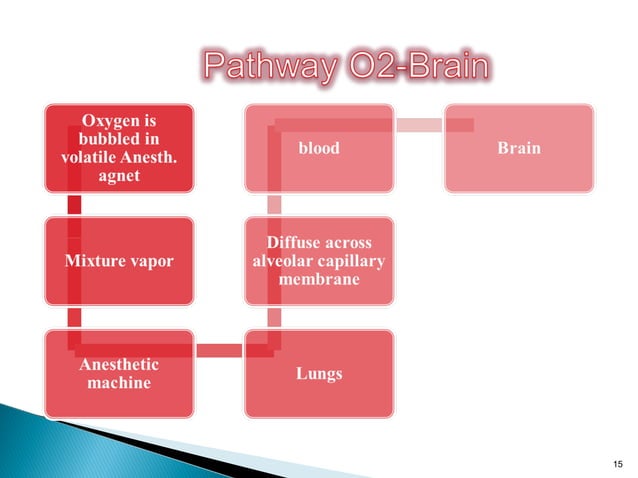 Inhalational Anesthetic Agents | PPT | Lung and Respiratory Health ...