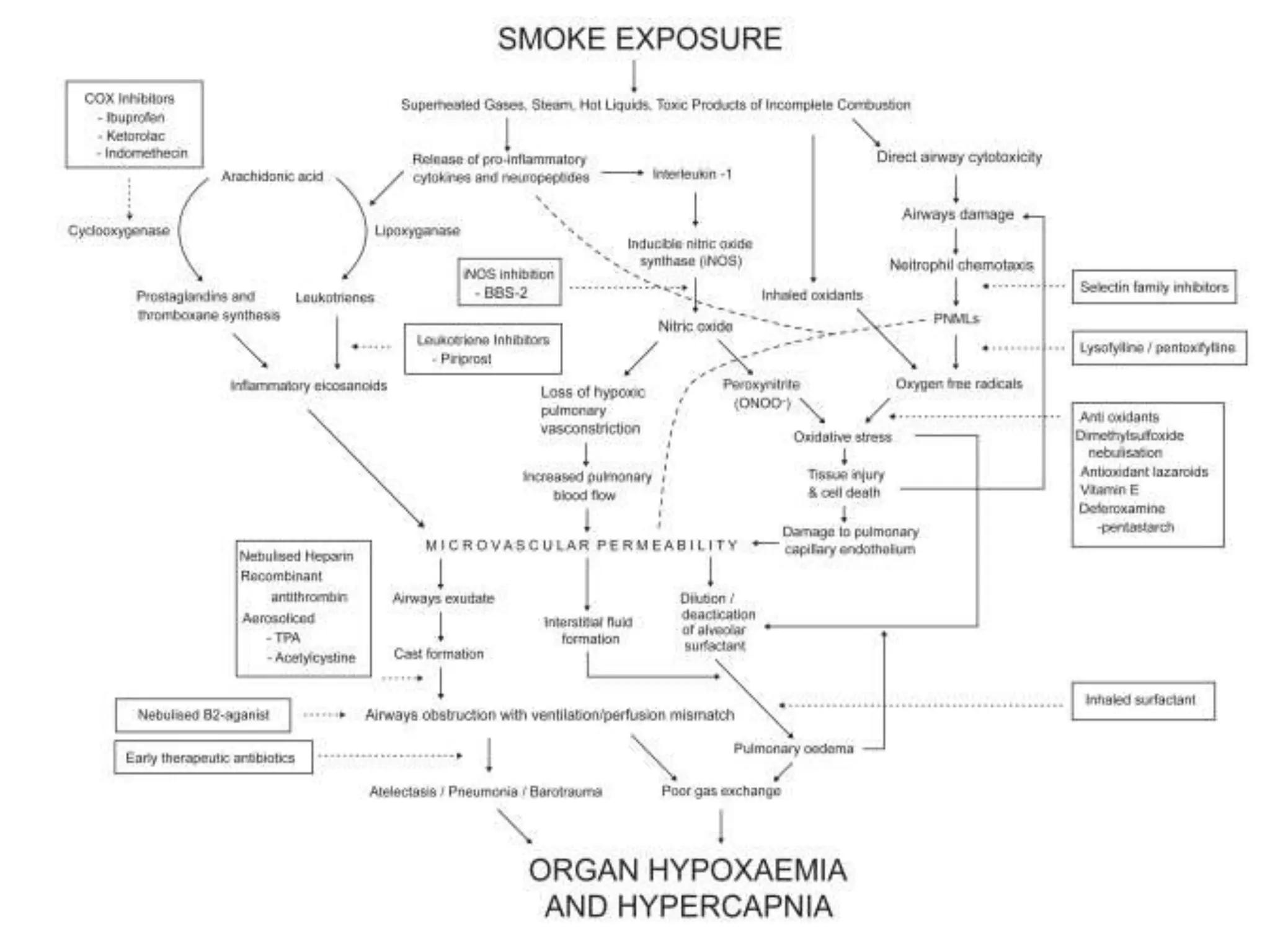 Inhalational burns injury | PPTX