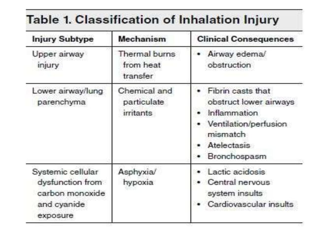 Inhalational burns injury | PPTX | Lung and Respiratory Health ...