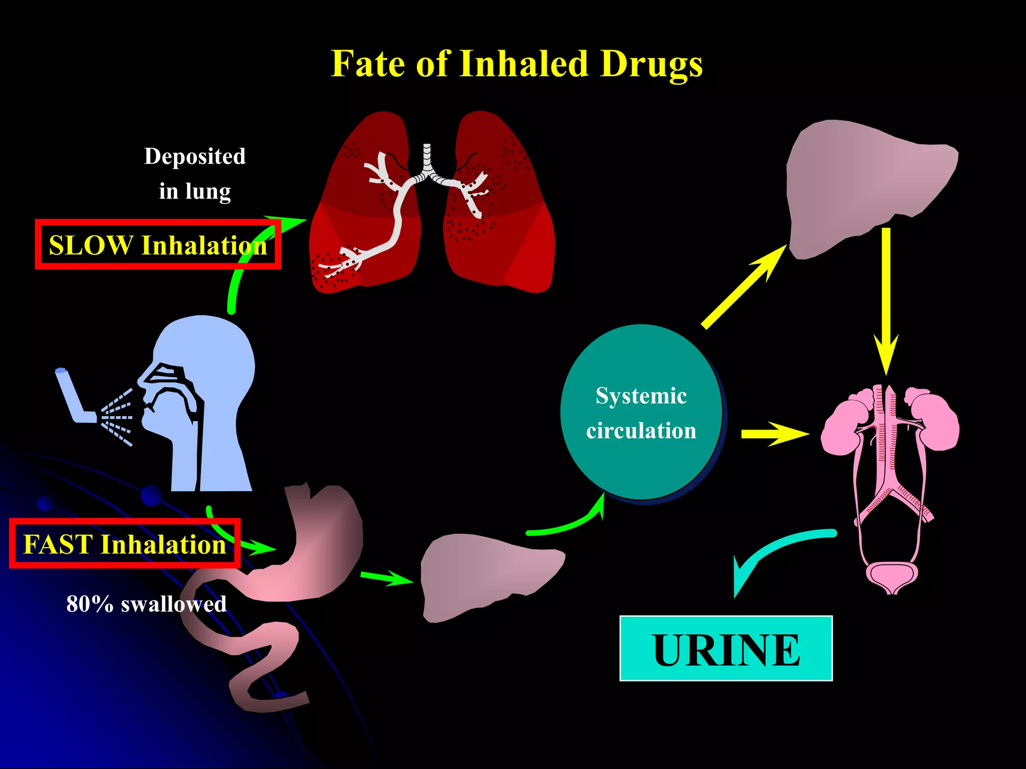 Inhalational devices.ppt