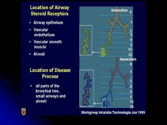 Inhalational devices.ppt