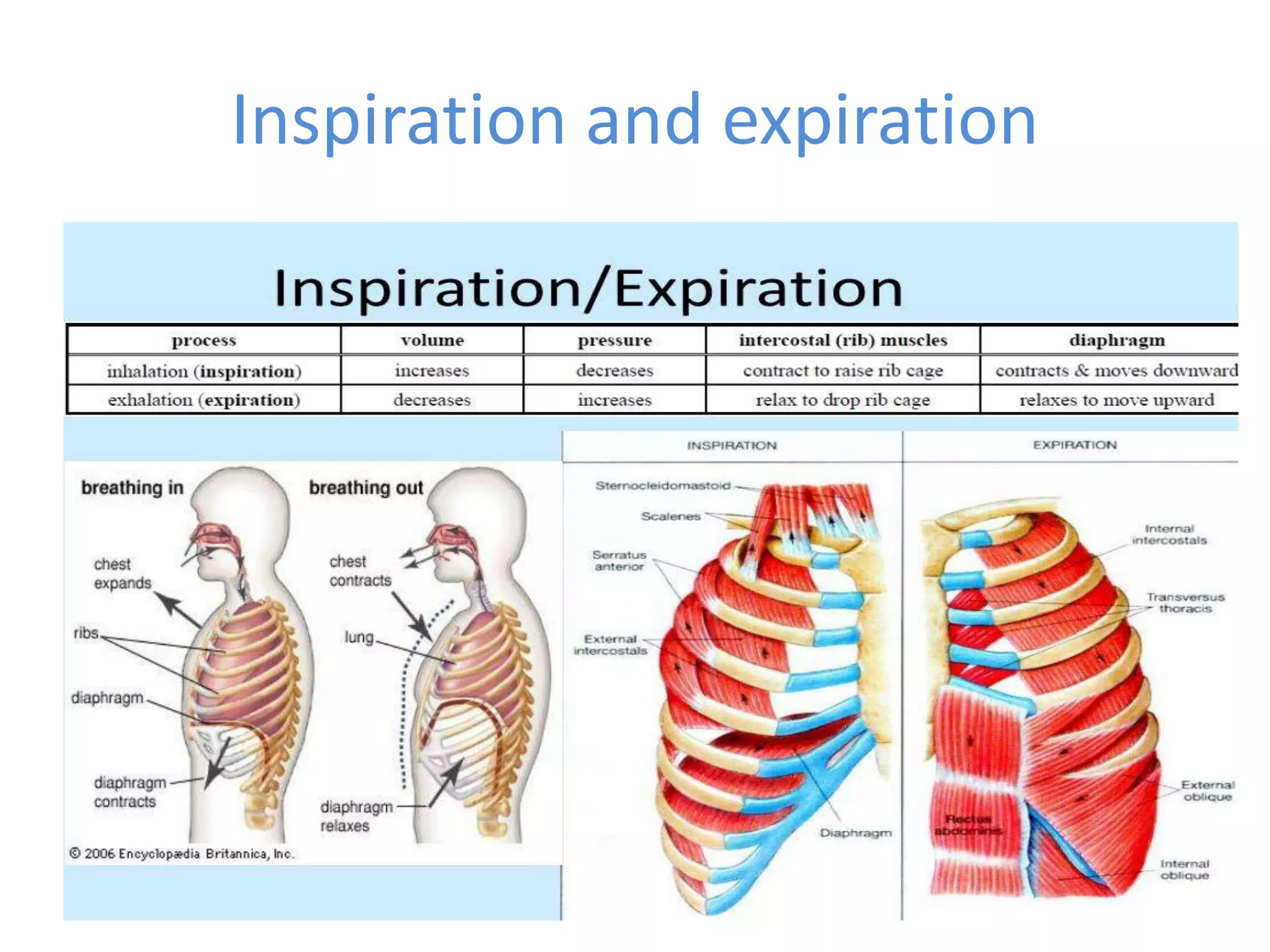 Inhalation and exhalation by rn | PPTX