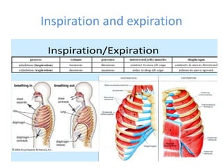 Inhalation and exhalation by rn | PPTX