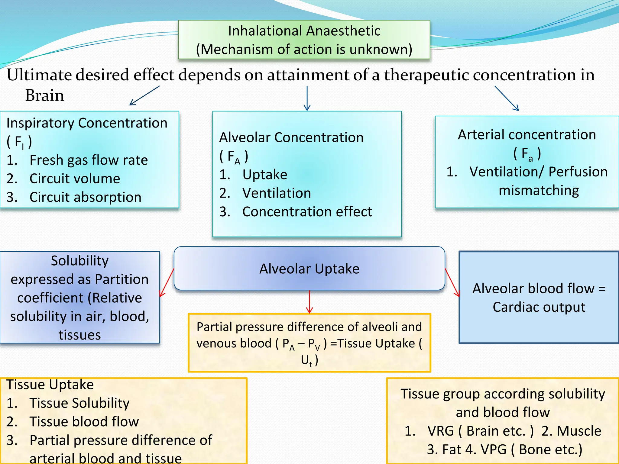 inhalational Anesthetic agents drugs.pptx
