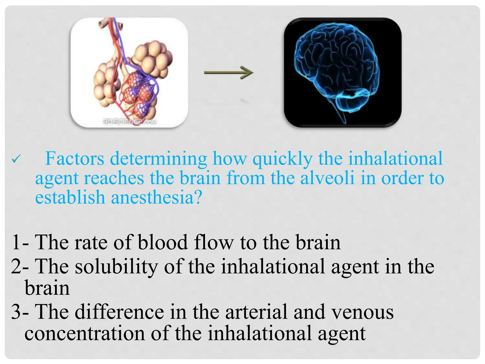 inhalational Anesthetic agents drugs.pptx